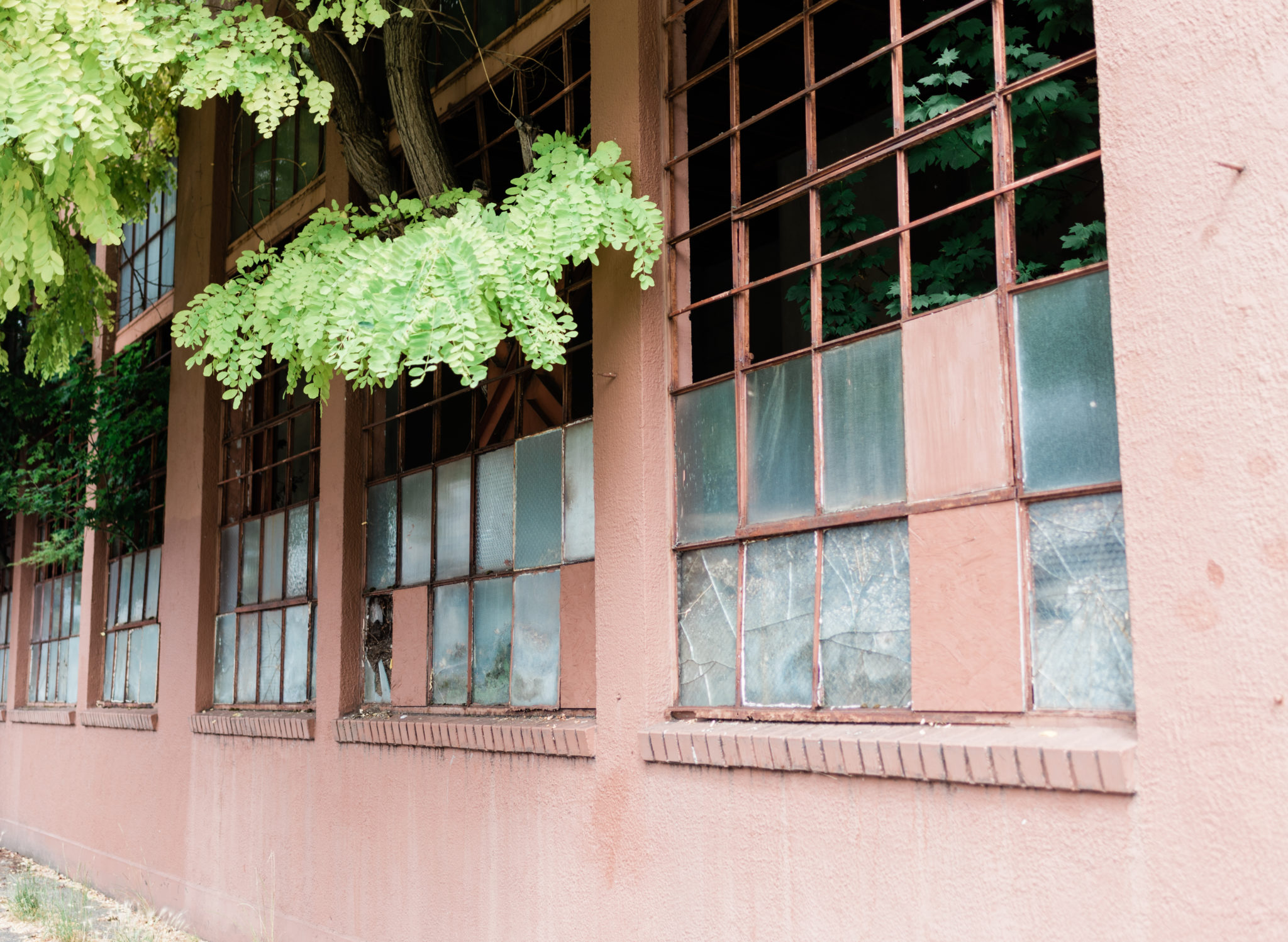The Ruins Seattle Wedding Venue & Event Center